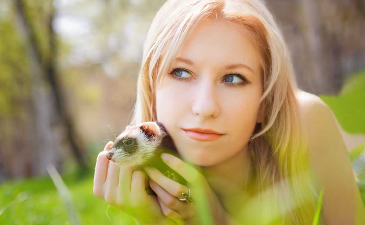 How to Tell if Your Ferret Loves You? | Ferret Adviser